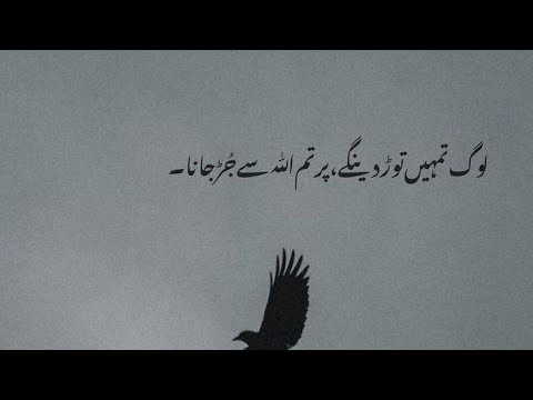Log Tumhe Tor de ge pr Allah SE jur jana