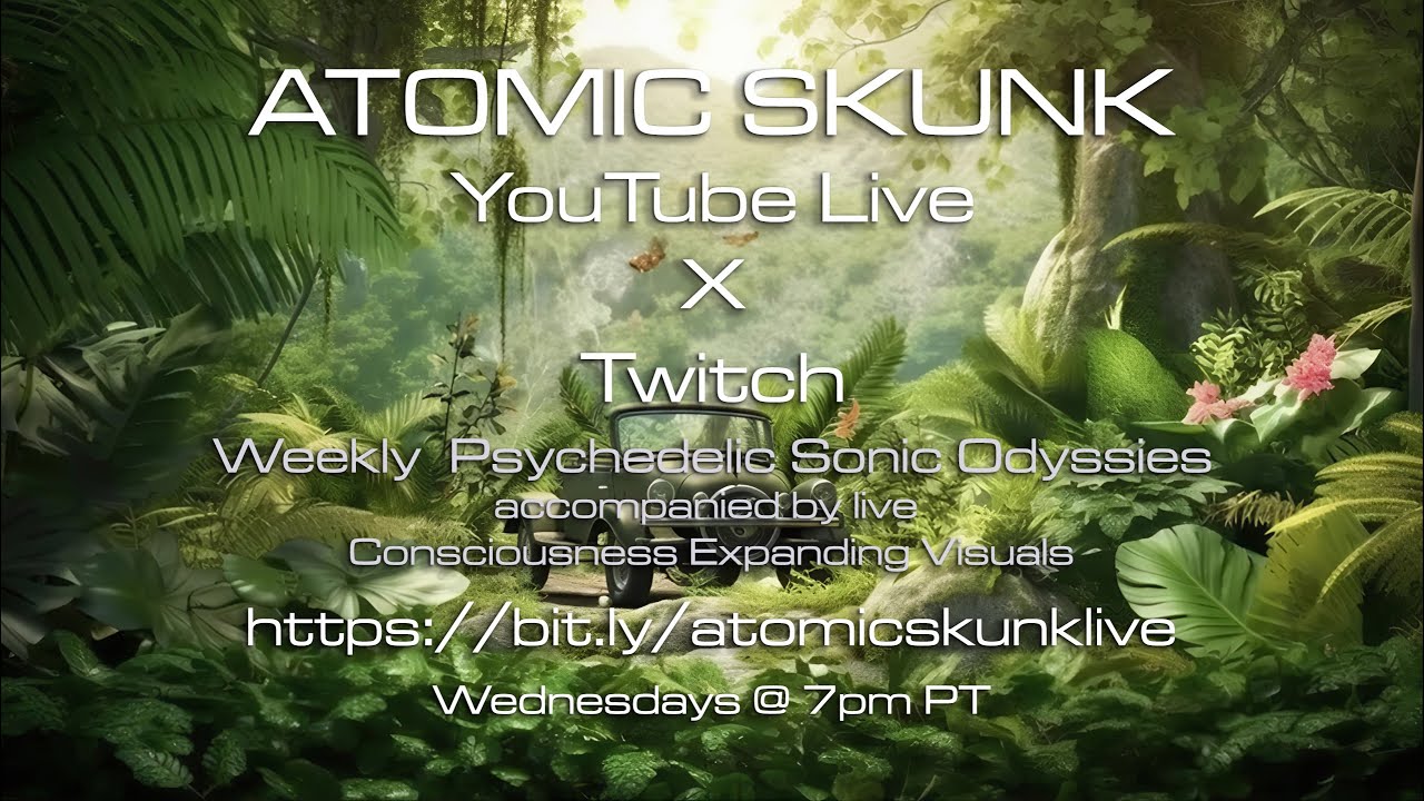Psychedelic Summer Sonic Safari- Atomic Skunk Live! - YouTube