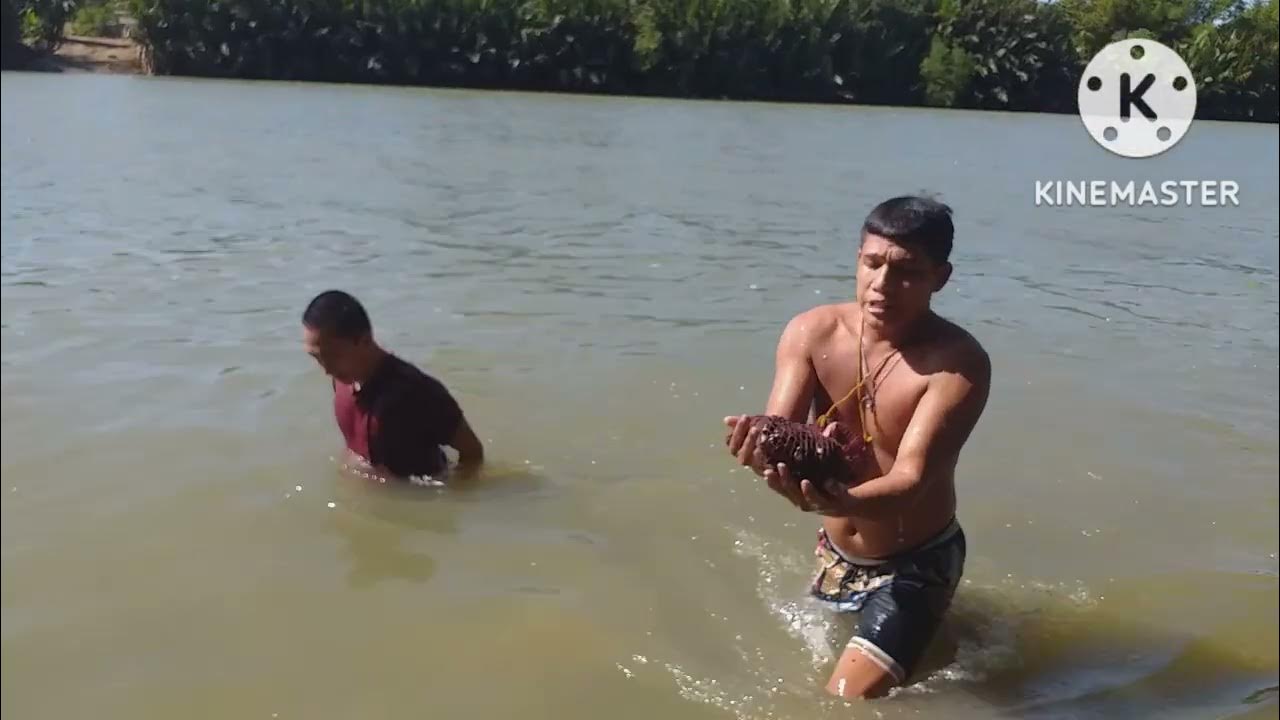 Paano kumuha ng sikat na ulam sa aming probinsya (kayog/tulya) | Torelian Vlogs - YouTube