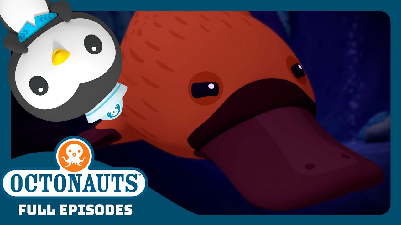 @Octonauts - 🦆 The Duck-Billed Platypus 🪸 | Season 3 | Full Episodes ...