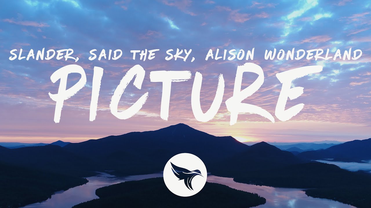 SLANDER, Said The Sky & Alison Wonderland - Picture (Lyrics) - YouTube ...