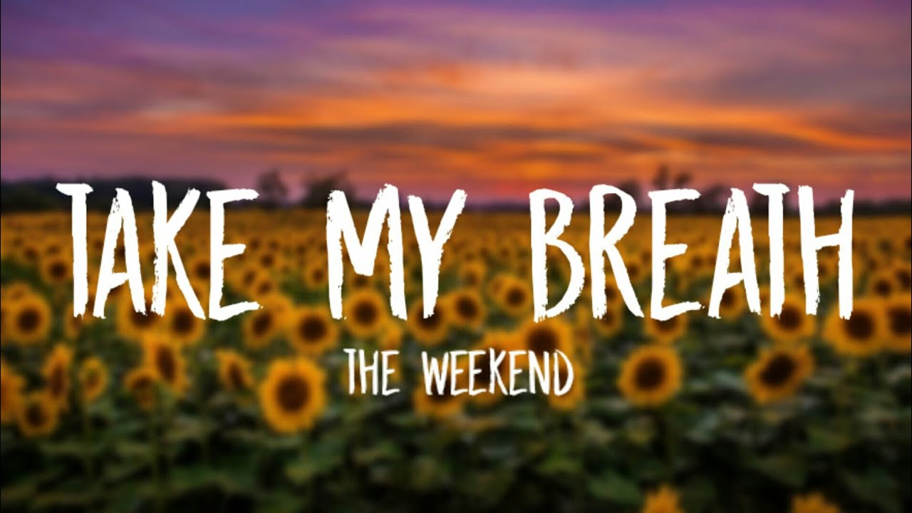 | The weeknd - Take my breath [Lyrics video]🎵🎵🎵 - YouTube