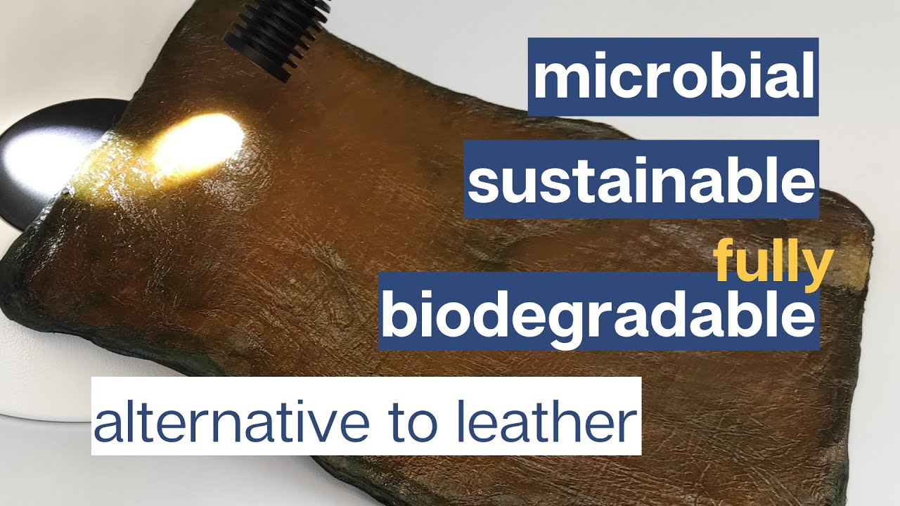 VEGANMAT | Fully biodegradable microbial alternative to leather - YouTube