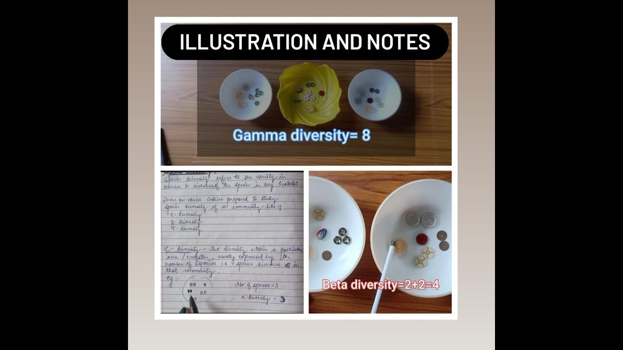 Species diversity index : alpha , beta , gamma diversity. Illustration ...