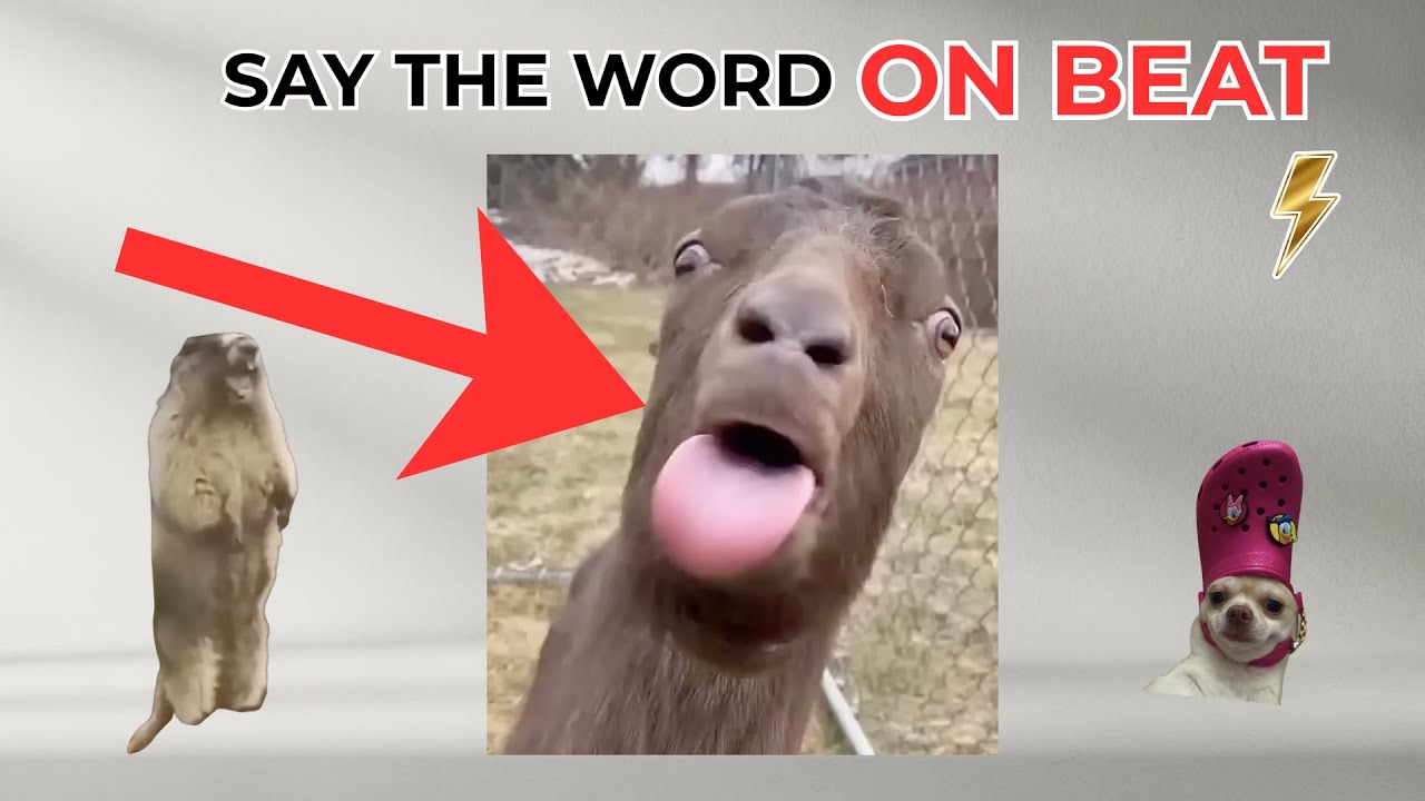 SAY THE WORD ON BEAT | DON’T MISS A BEAT - YouTube