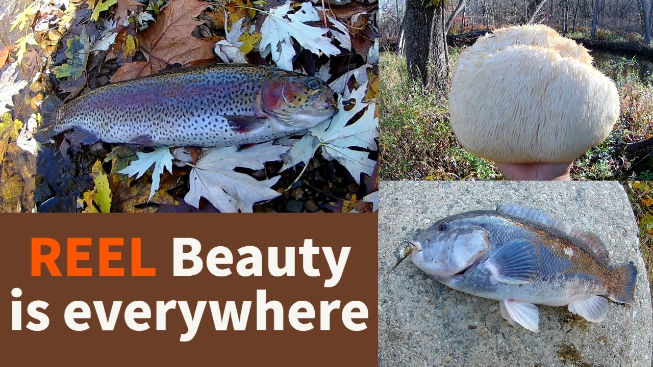 Fishing & Mushroom - YouTube