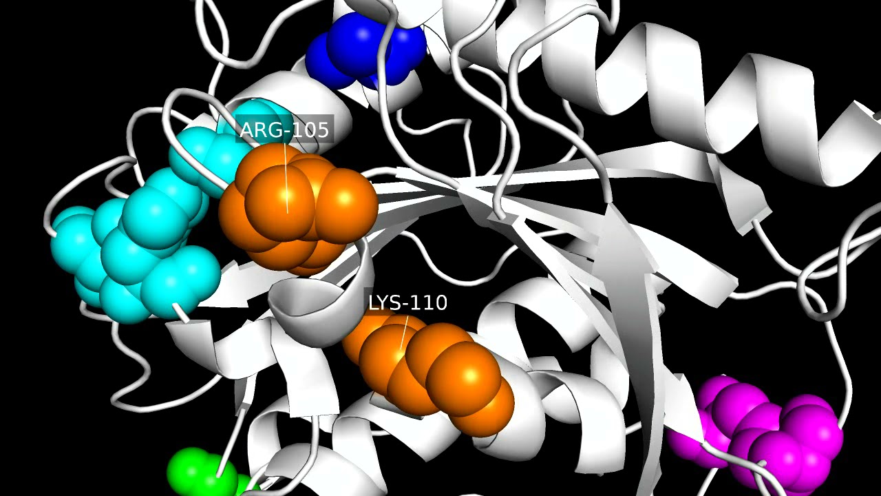 改良したPET分解酵素変異体の立体構造 A plastic-degrading enzyme artificially powered by ...
