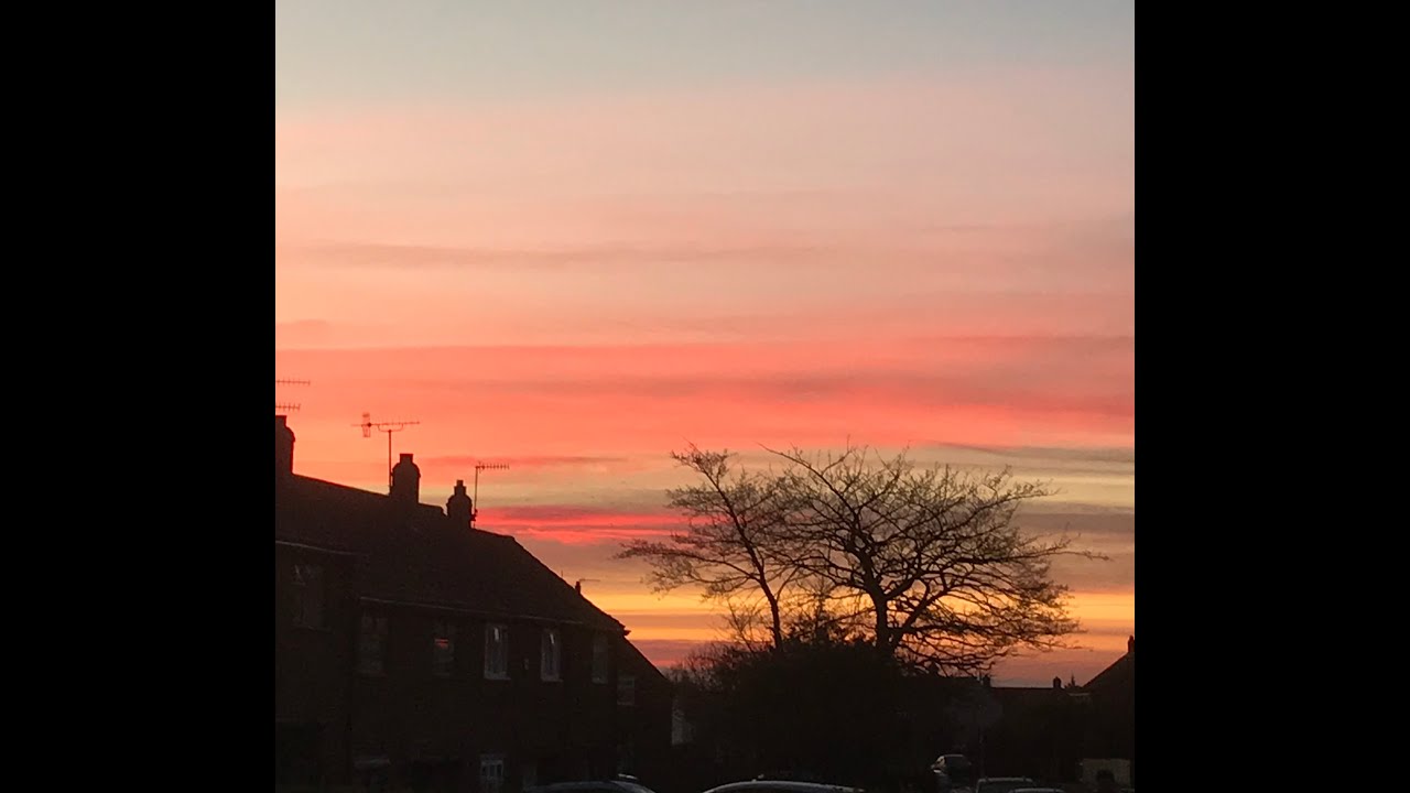 This Place Is Nuts lol - YouTube