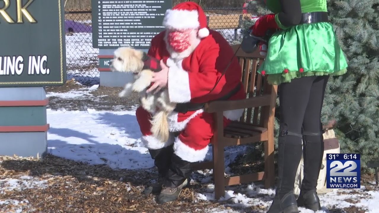 Santa joins furry friends for Enfield Dog Park fundraiser - YouTube