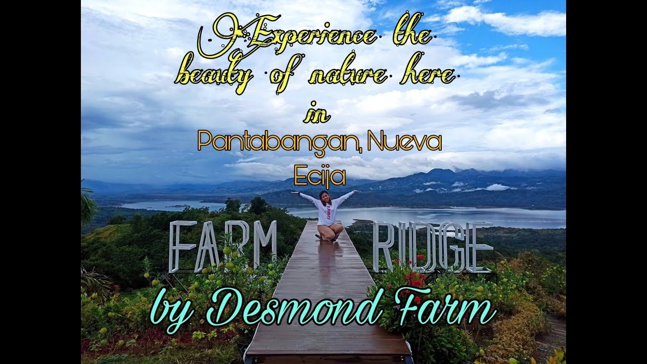 Farm Ridge by Desmond Farm Pantabangan Nueva Ecija. Amazing view of ...