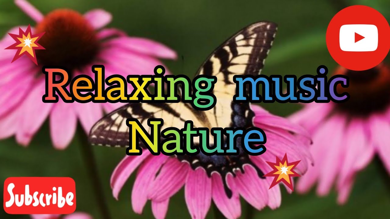Relaxing music with Nature sound, forest music, maditation music ...