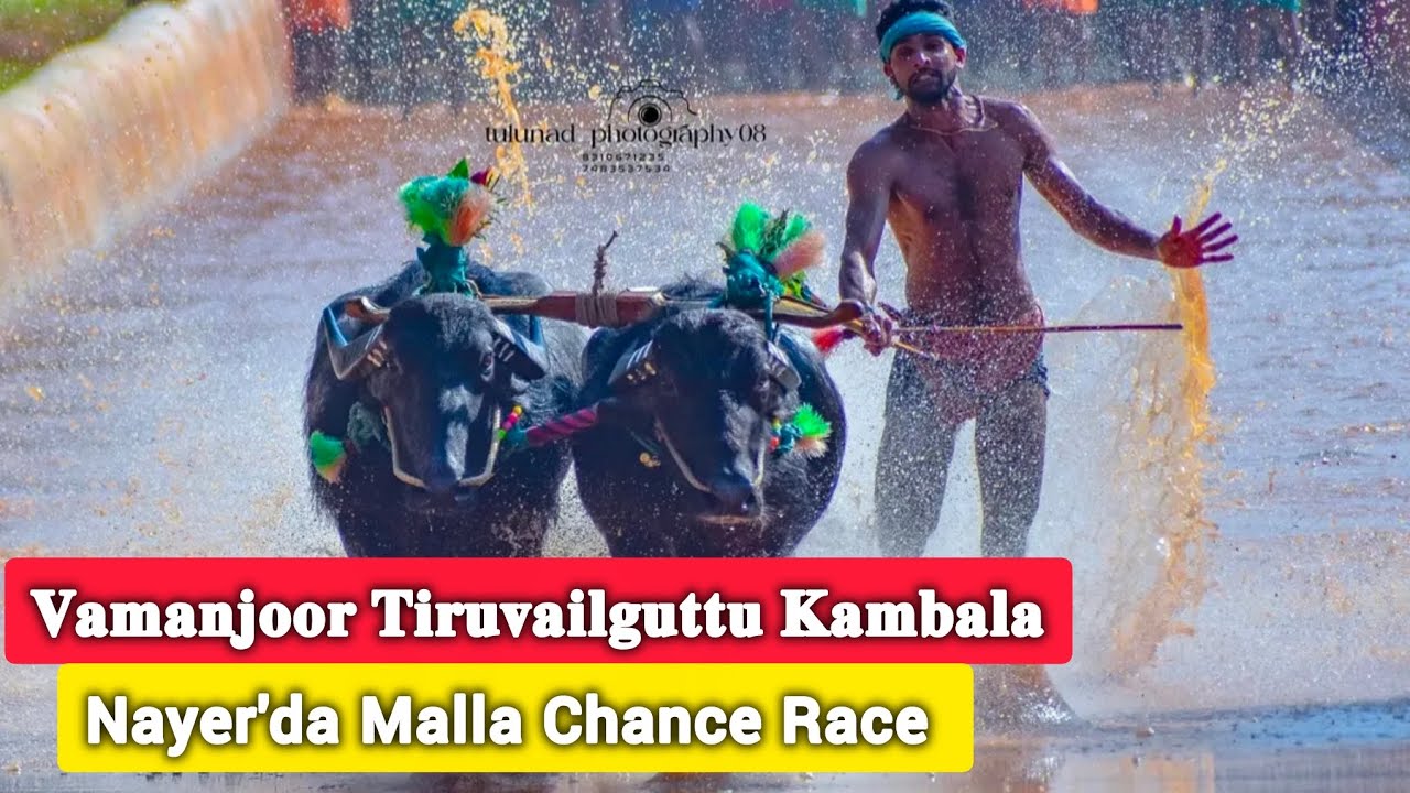 𝐕𝐚𝐦𝐚𝐧𝐣𝐨𝐨𝐫 𝐓𝐢𝐫𝐮𝐯𝐚𝐢𝐥𝐠𝐮𝐭𝐭𝐮 𝐊𝐚𝐦𝐛𝐚𝐥𝐚 // Nayer'da Malla Chance Race ...