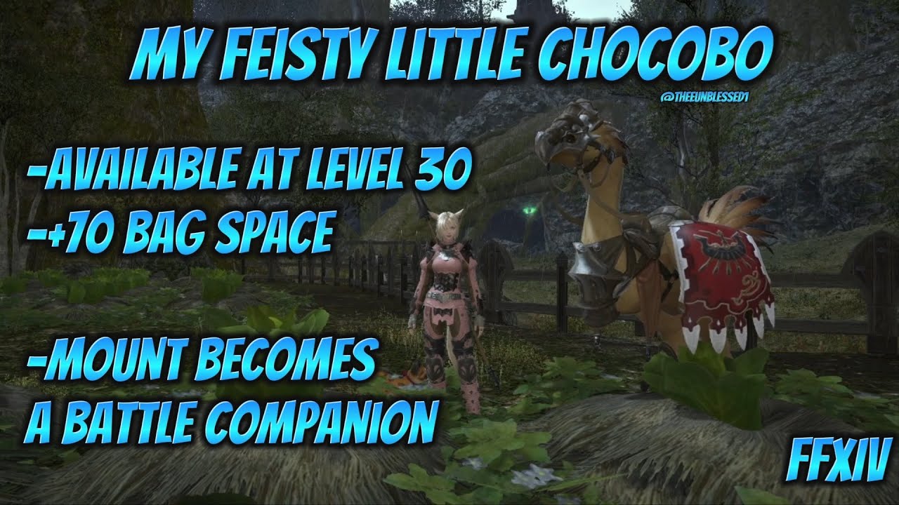 FINAL FANTASY XIV: My Feisty Little Chocobo...Mount Turned Battle ...