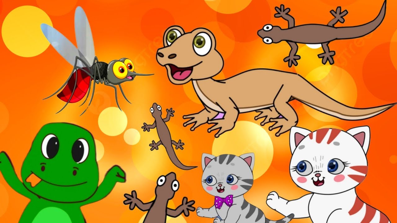Cicak Cicak di Dinding Lagu Anak Indonesia Populer by Ali And Toys ...