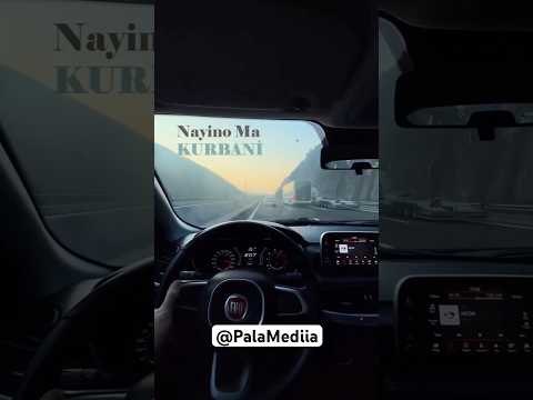 Egea ile +230 km ile makas atıyor #audi #automobile #bmw #mercedes #youtubeshorts #egeasedan #araba