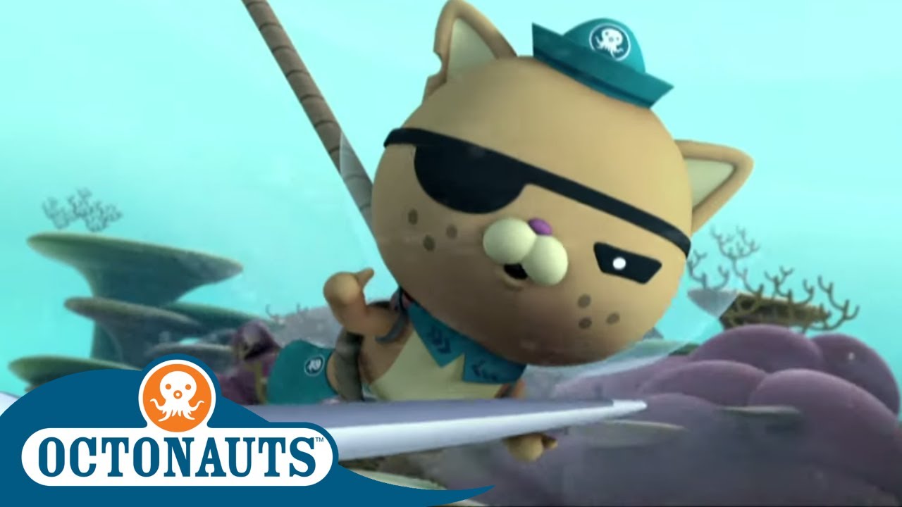 Octonauts - Fishes and Other Sea Creatures | Cartoons for Kids ...