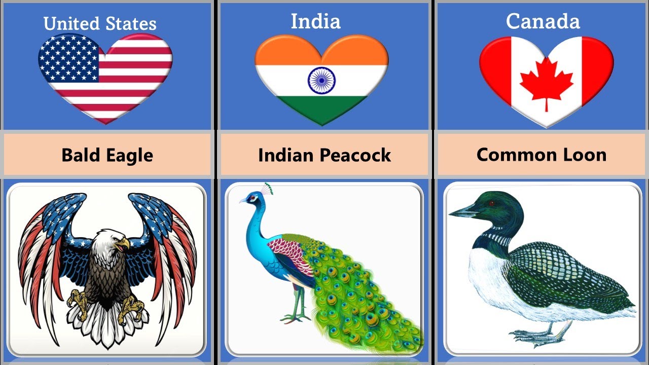 List Of National Birds From Different Countries . Countries And Their ...