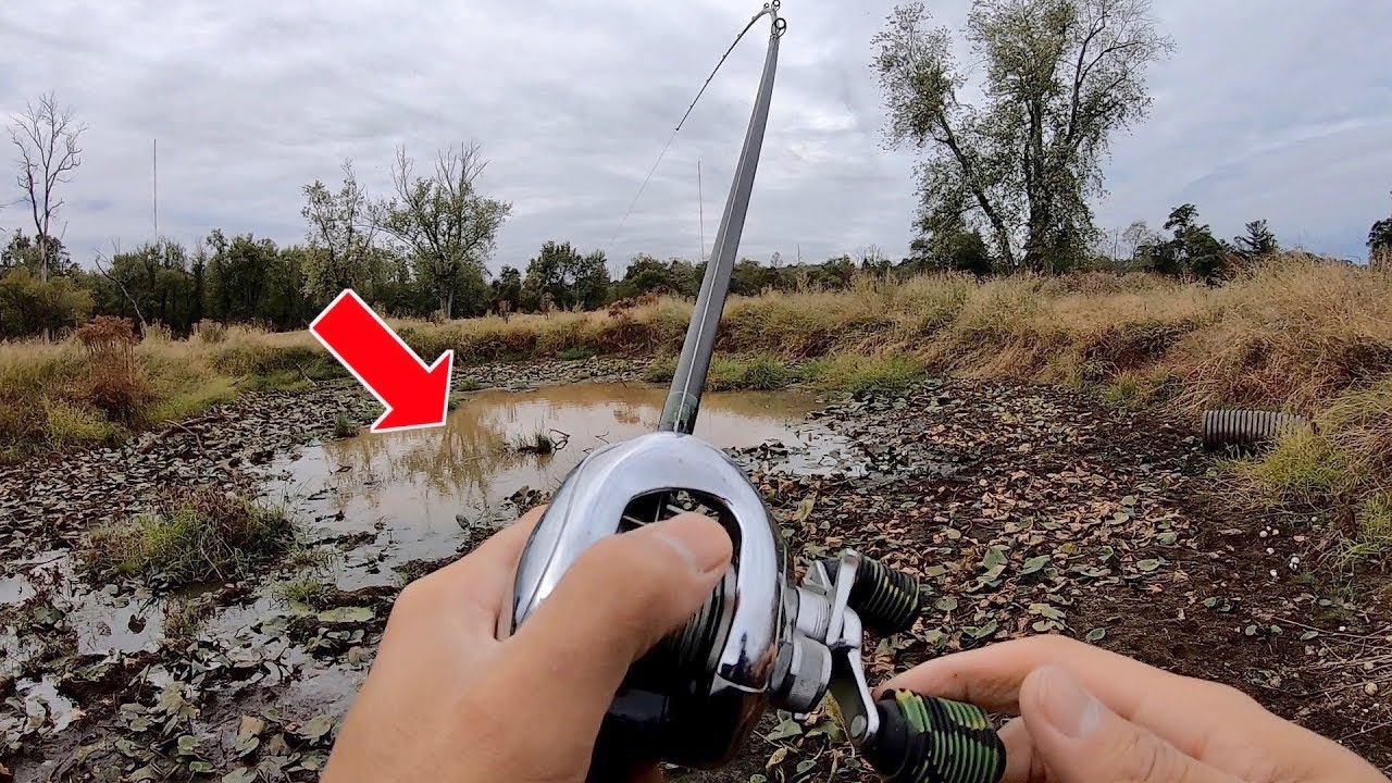 MONSTER FISH CAUGHT FROM TINY PUDDLE??? (Fishing an ABANDONED Golf ...