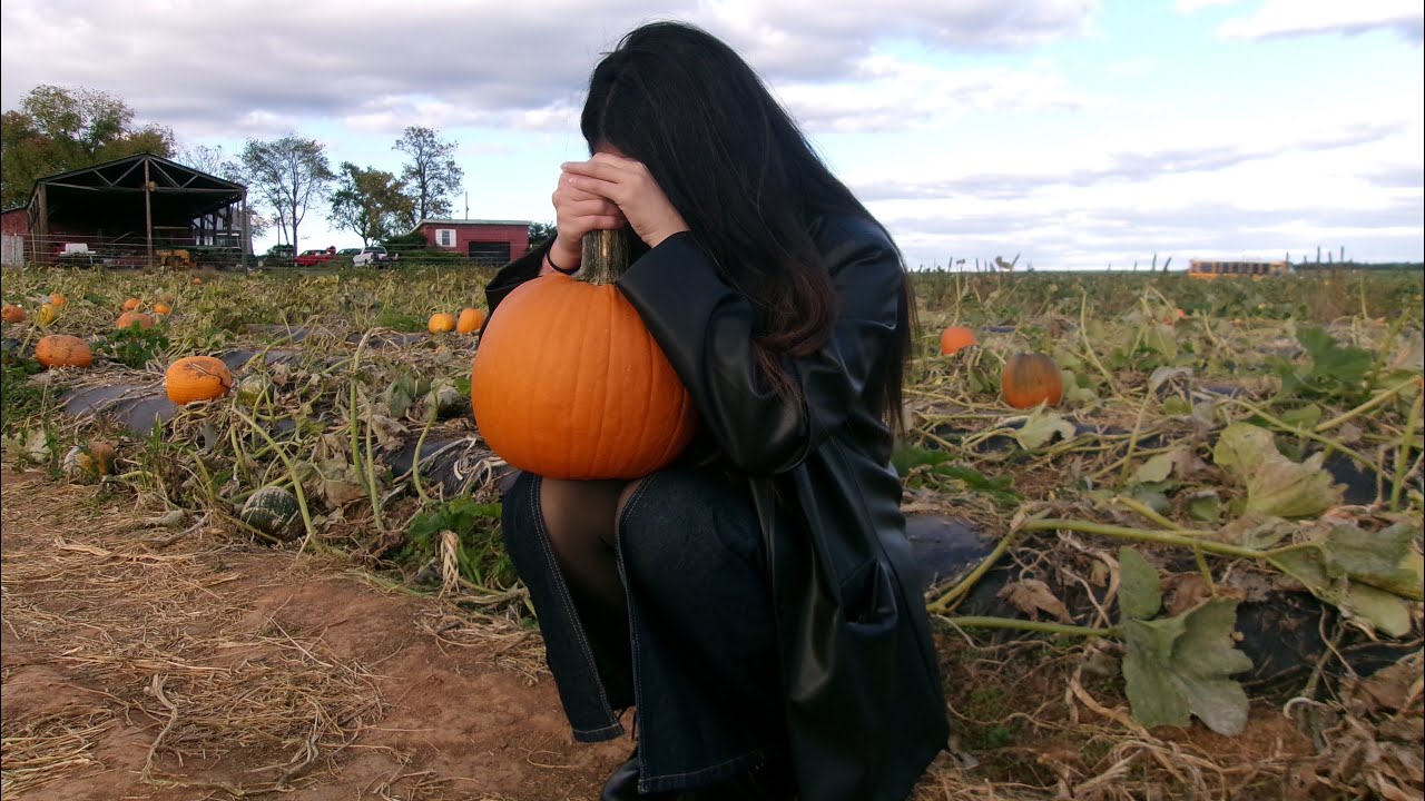Pumpkin patch - YouTube