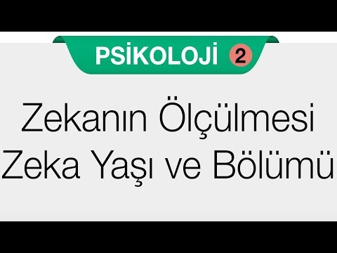 Öğrenme, Bellek, Düşünme - Zeka 4 . Bölüm