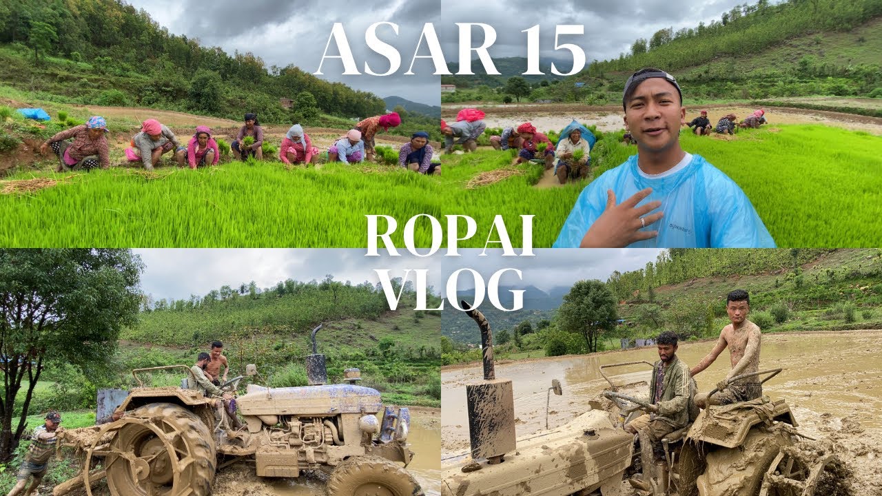 Asar 15 Dhan Diwash Ko Din Ropai Gariyo Ropai Vlog Dahi Chiura Khane