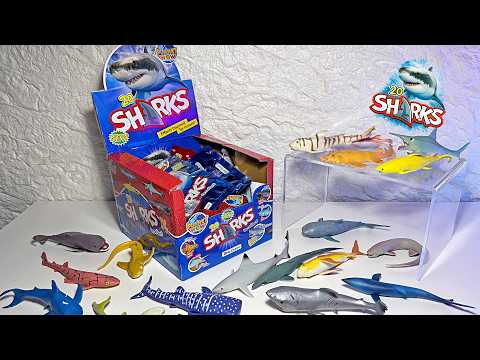 20 Shark Blind Bags! Bull Shark, Great White Shark, Lemon Shark, Blacktip Reef Shark, Whaleshark