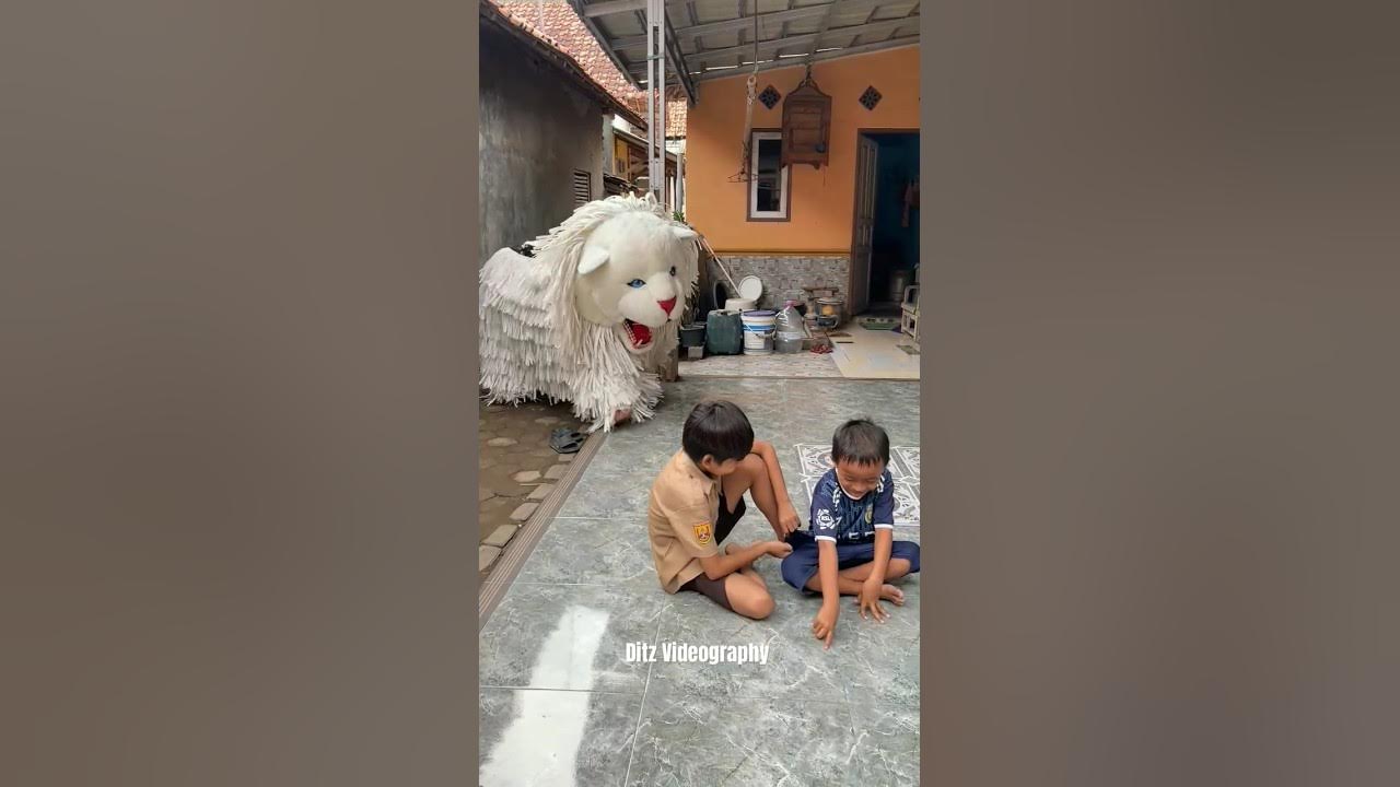 lagi santai duduk tiba-tiba datang can Macanan memakan bocil ff - YouTube