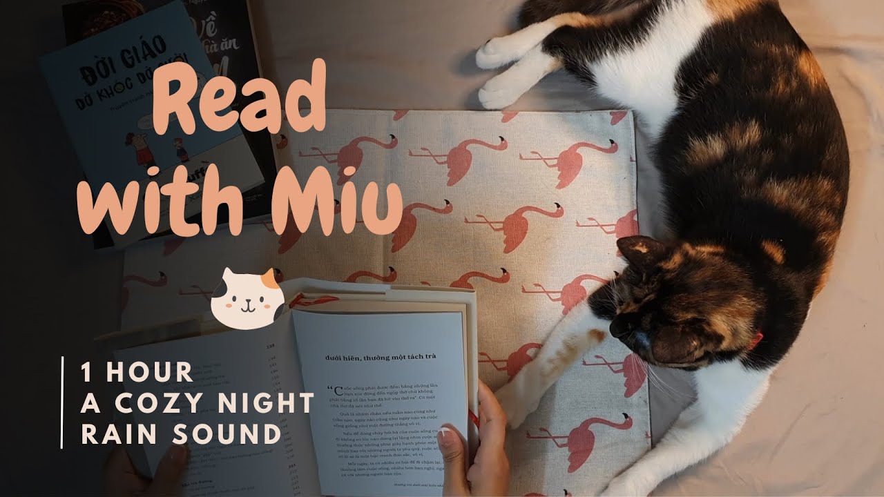 A cozy night 🌙 | 1 HOUR READ WITH ME | Background noise & Rain sounds 🌧 ...