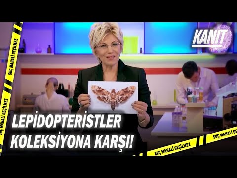6 Suçlunun Ortak Noktası: Kelebek! - Kanıt 98.Bölüm