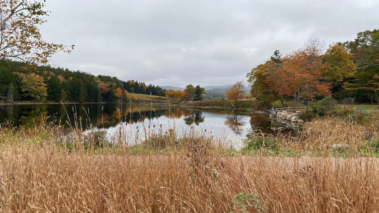 A Rainy Day in Acadia National Park, ME | Lydia & Ryan Excursions - YouTube