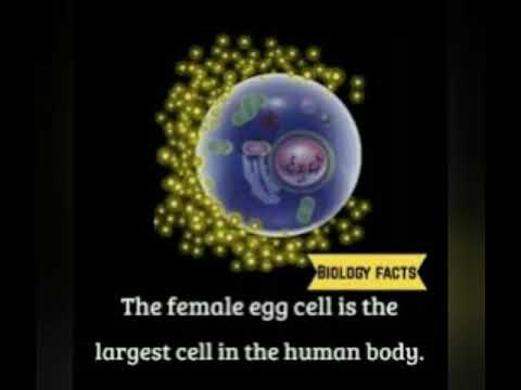 BIOLOGY FACTS - YouTube