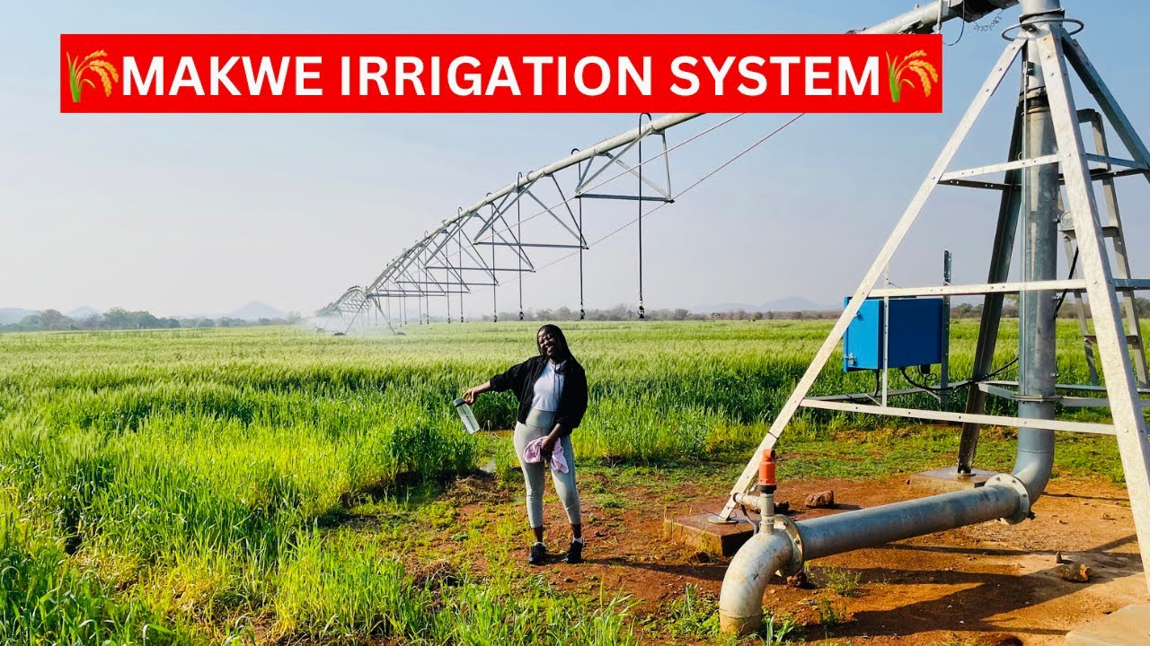 FEEDING THE FUTURE: MAKWE IRRIGATION SYSTEM TEASER | FARMING IN ...