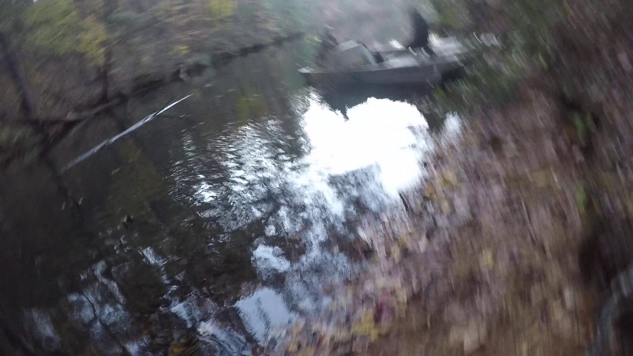 Cherokee National Forest Hunt 2019 - YouTube