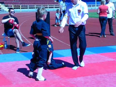 Horting. beynəlxalq uşaq turniri. Döyüş və dünyada məşhur idman.