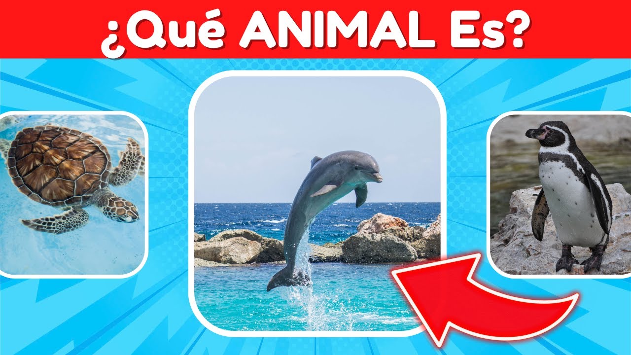 Adivina el Animal ACUÁTICO por la IMAGEN 🧐| (Quiz #1) Adivinanzas de ...