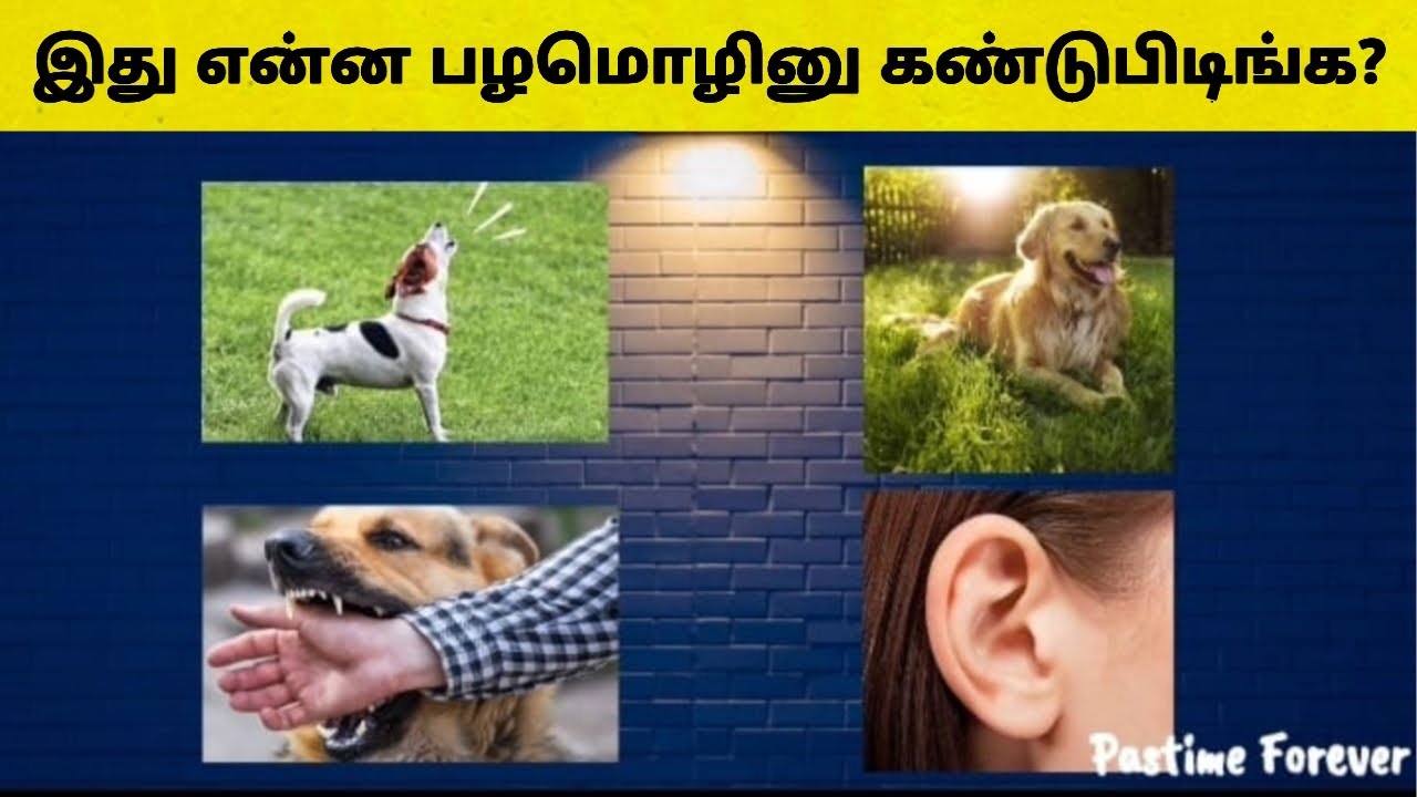 Pazhamozhi|pazhamozhigal|Brain games|proverbs in tamil|Pastime forever ...