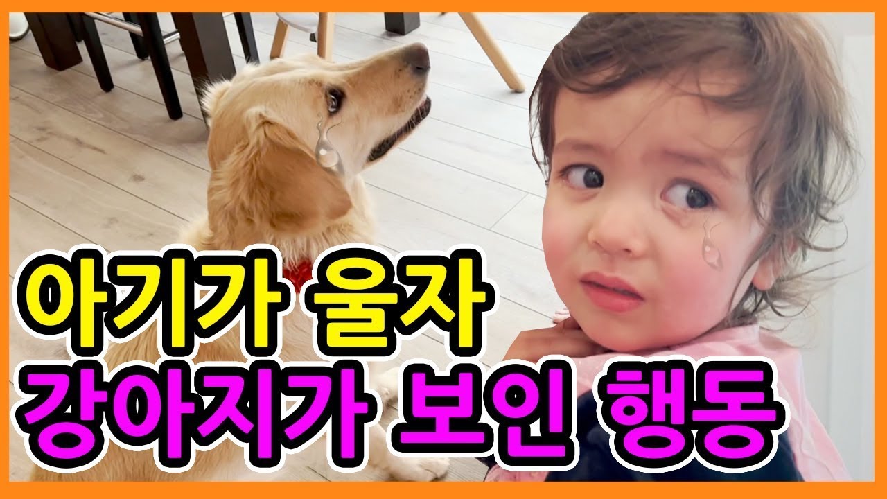 Dog's reaction when baby's crying - YouTube