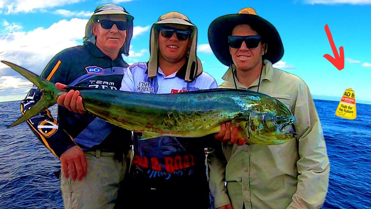 HEART-RACING Mahi Mahi fights at the FADs! - YouTube