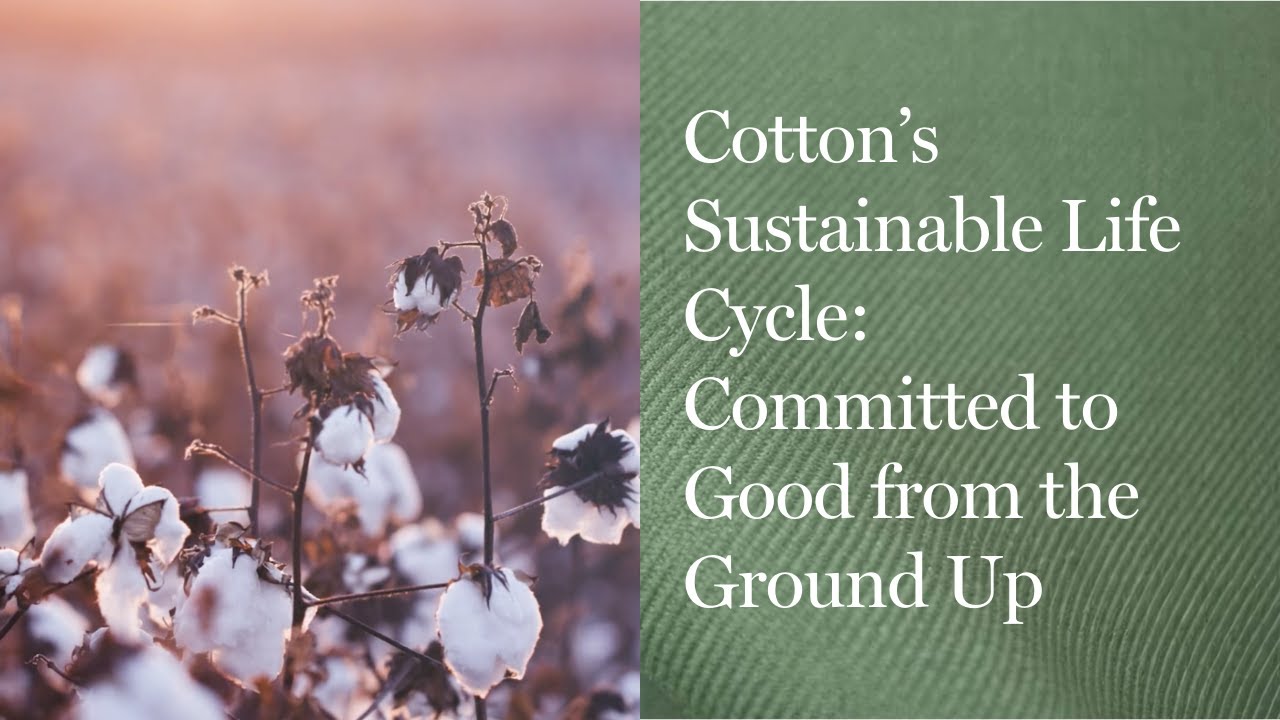 Cotton’s Sustainable Life Cycle: Committed to Good from the Ground Up ...