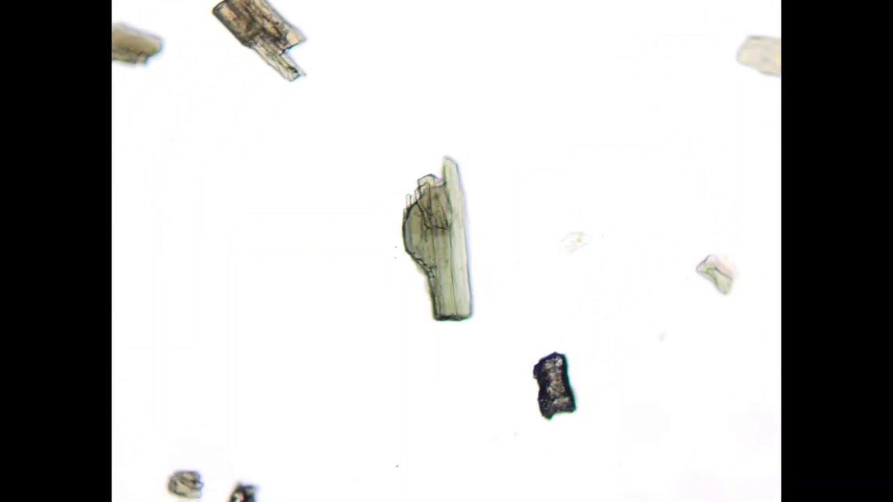 Hornblende Heavy Mineral Strewn Slide YouTube hornblende-heavy-mineral-strewn-slide-youtube