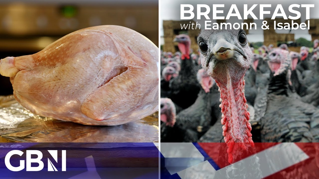 'Kill the tradition NOT the turkey': Should we save the turkeys this ...