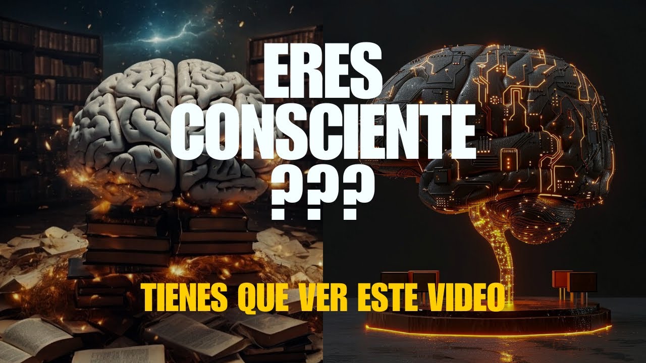 ¿Qué Es Ser Consciente – Experiencia Consciente: Qué es ...