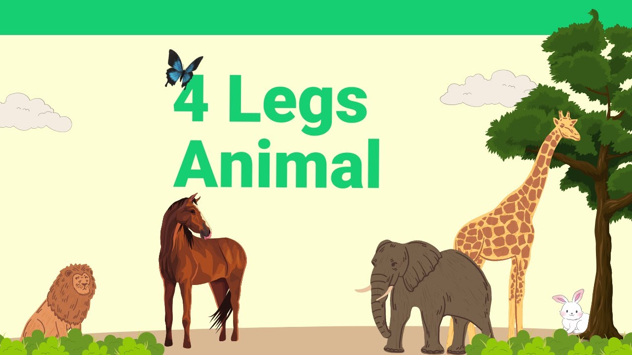 4 Legs Animal - YouTube
