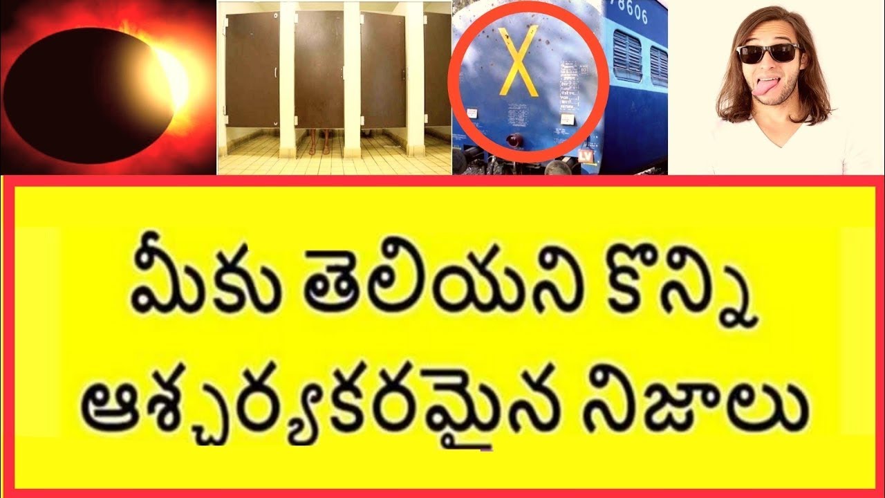 10 INTERESTING SILLY FACTS - YouTube