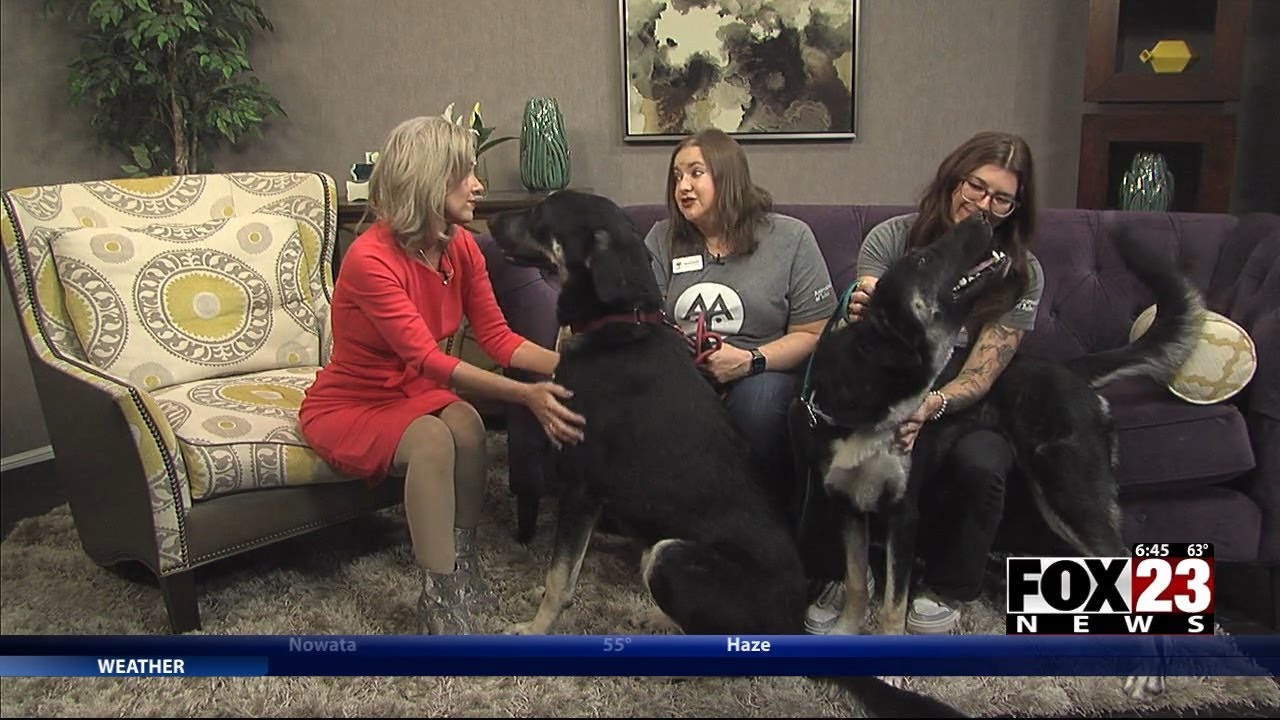 Adopt a Survivor: Meet Elijah and Eva - YouTube