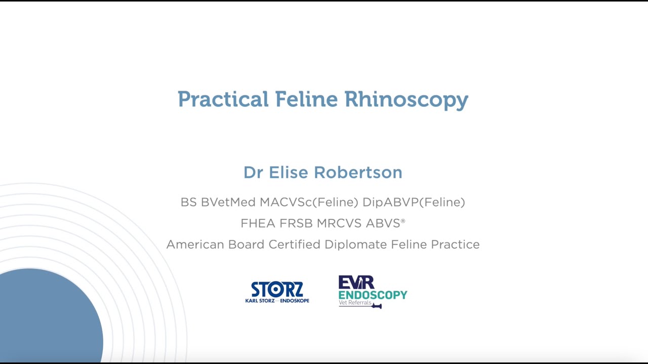 Practical Feline Rhinoscopy - YouTube