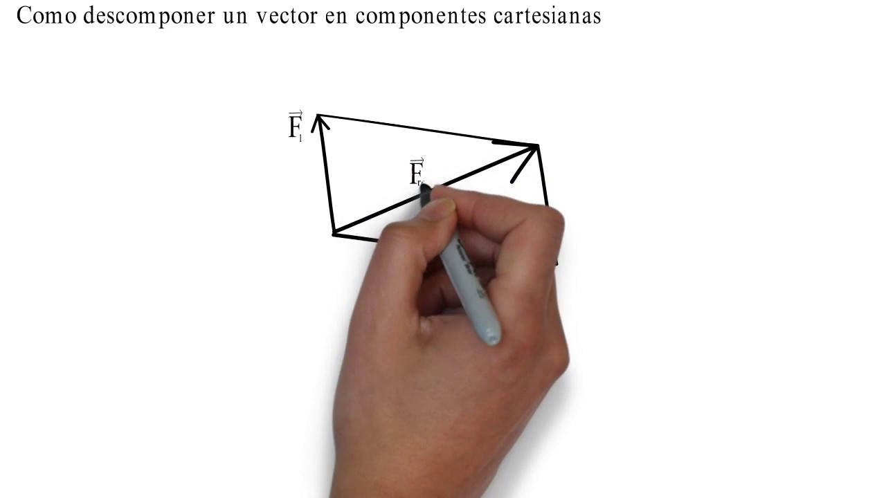 Componentes cartesianas de un vector - YouTube