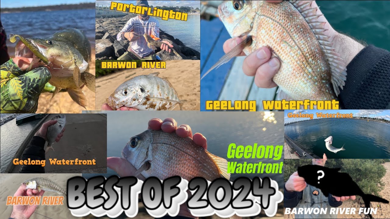 Best Of 2024 Fishing Compilation - Geelong Waterfront, Barwon River ...