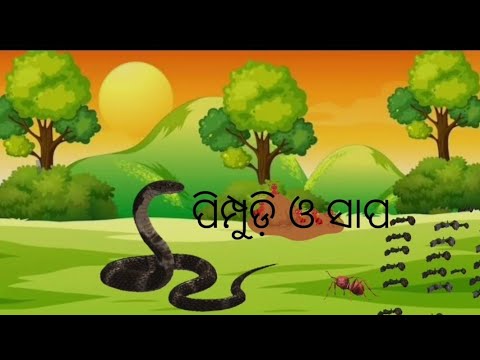Pimpudi o sapa Odia story //Odia gopa Pimpudi o Sapa - YouTube