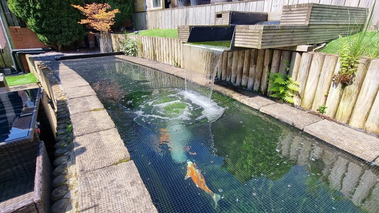 Koi Pond Bank Holiday Update, Work Burn Out 🥱 But I'm Still Here 👍 ...
